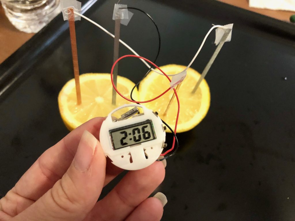 Science experiments and lessons for hands-on homeschoolers.