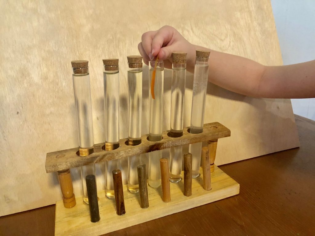 Science experiments and lessons for hands-on homeschoolers.